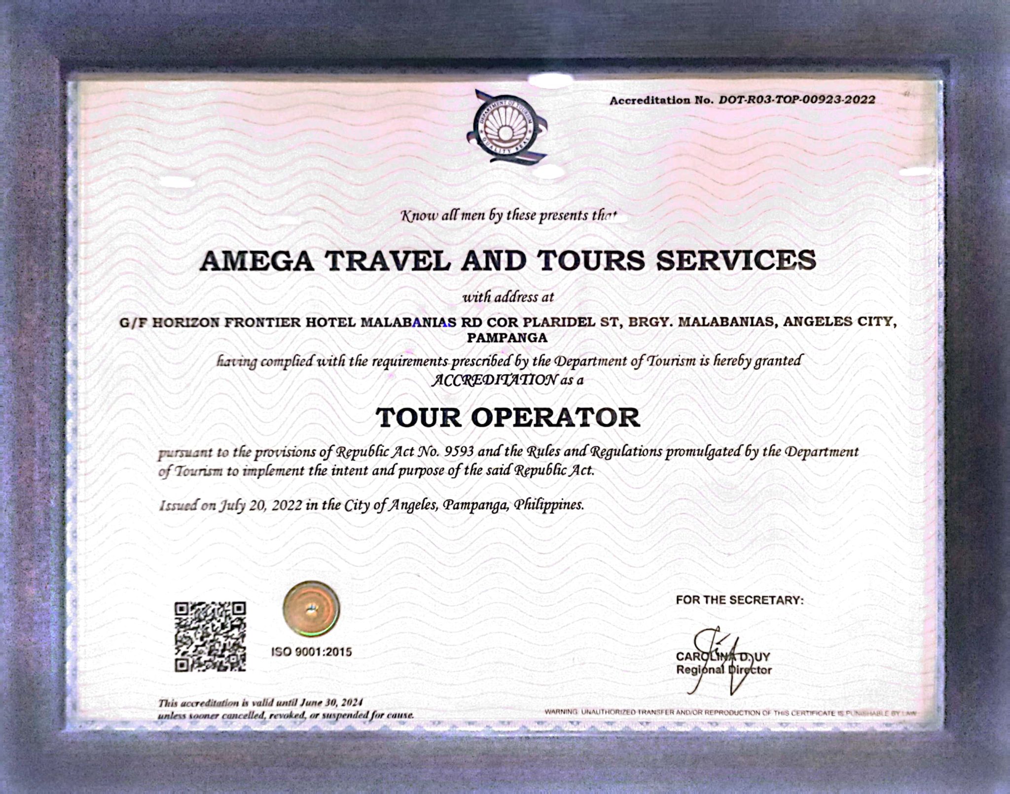 Amega Travel and Tours Services | Full-Service Travel Agency