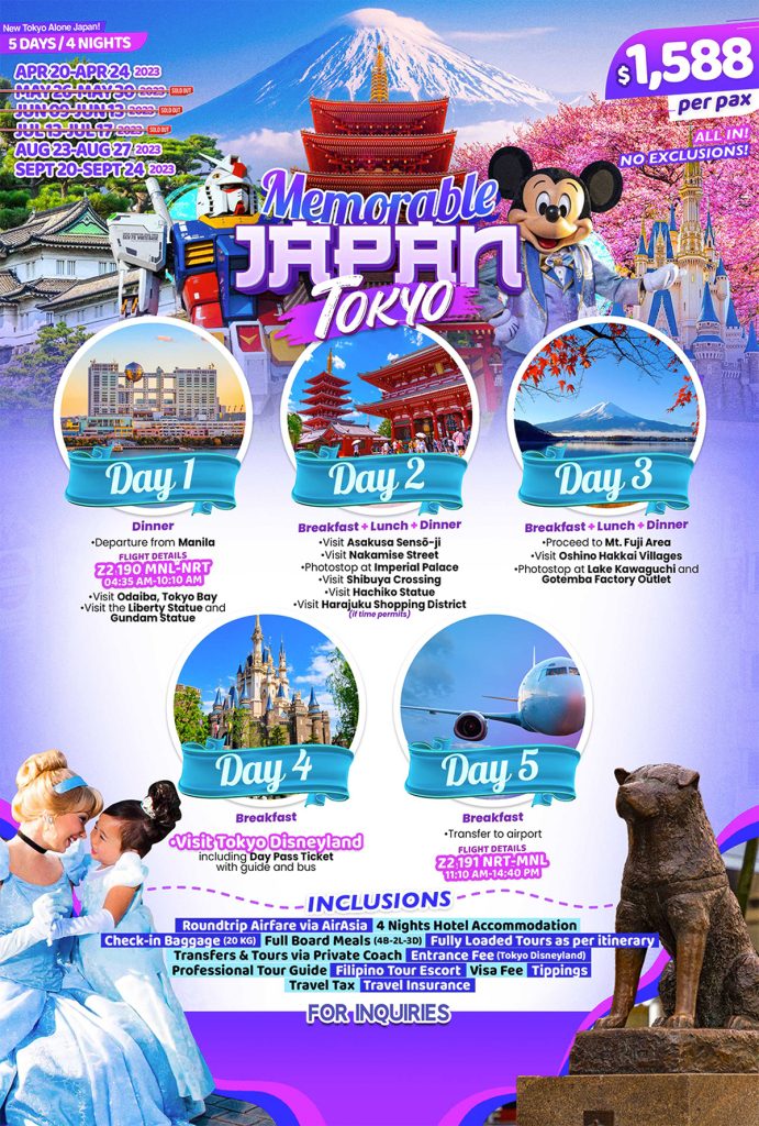 New Tour Packages - Amega Travel and Tours Services