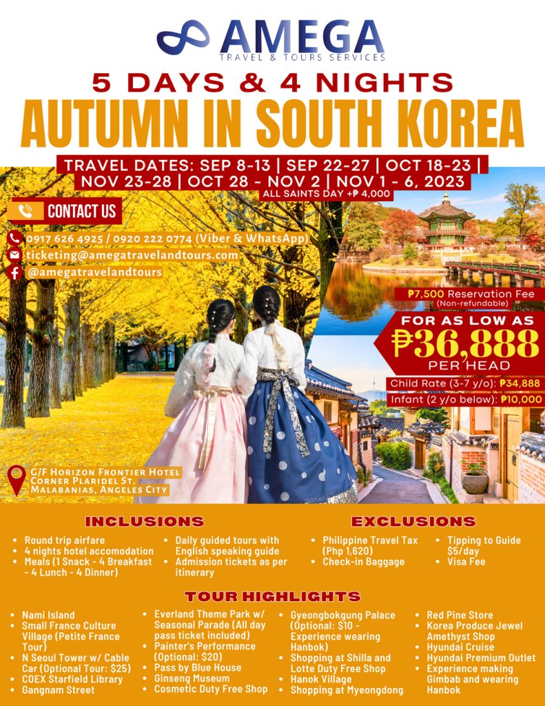 Amega Travel and Tours Services | Full-Service Travel Agency