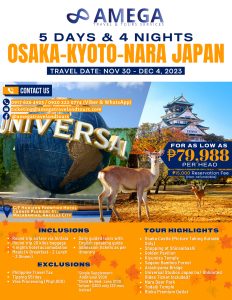 Amega Travel and Tours Services | Full-Service Travel Agency