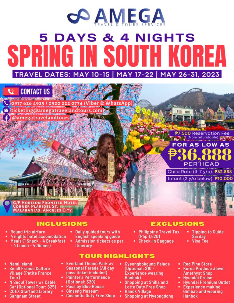 Amega Travel and Tours Services | Full-Service Travel Agency